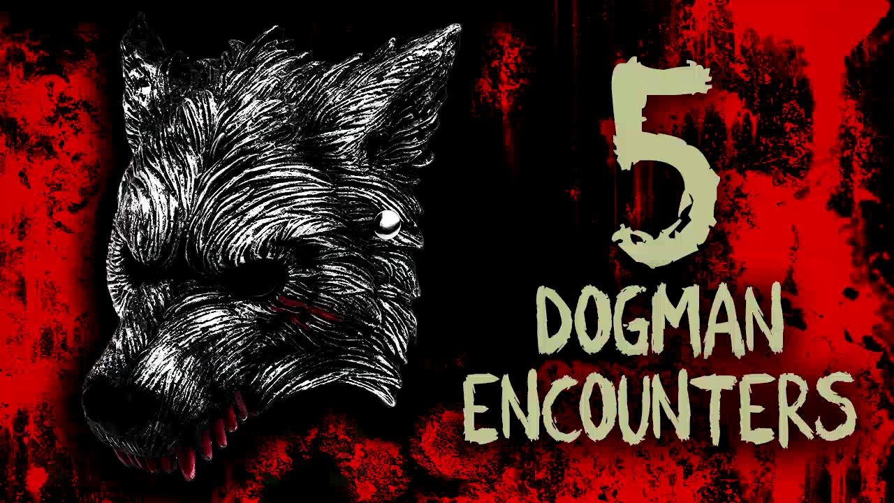 5 DOGMAN & WEREWOLF ENCOUNTERS (Dogman, Werewolf, Cryptid) - What Lurks ...