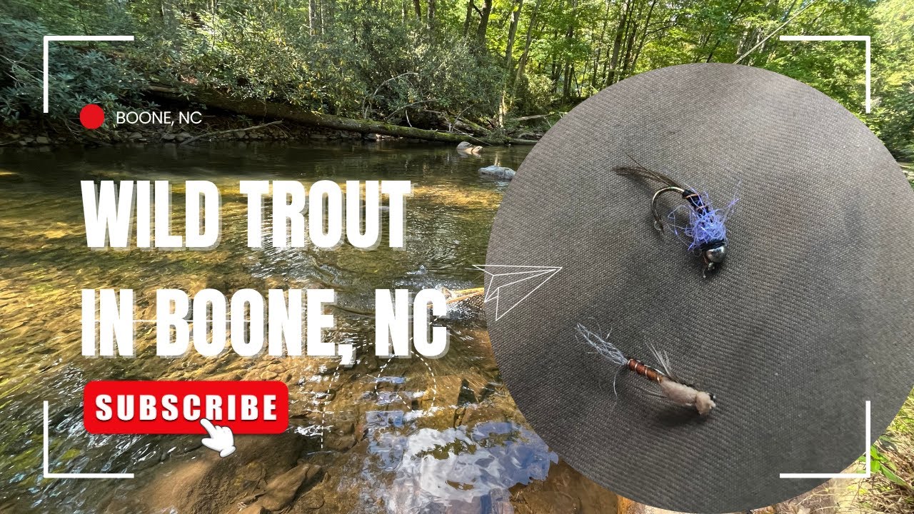 Fly Fishing for trout in Boone, NC - Blue Ridge Creek Tutorial - YouTube