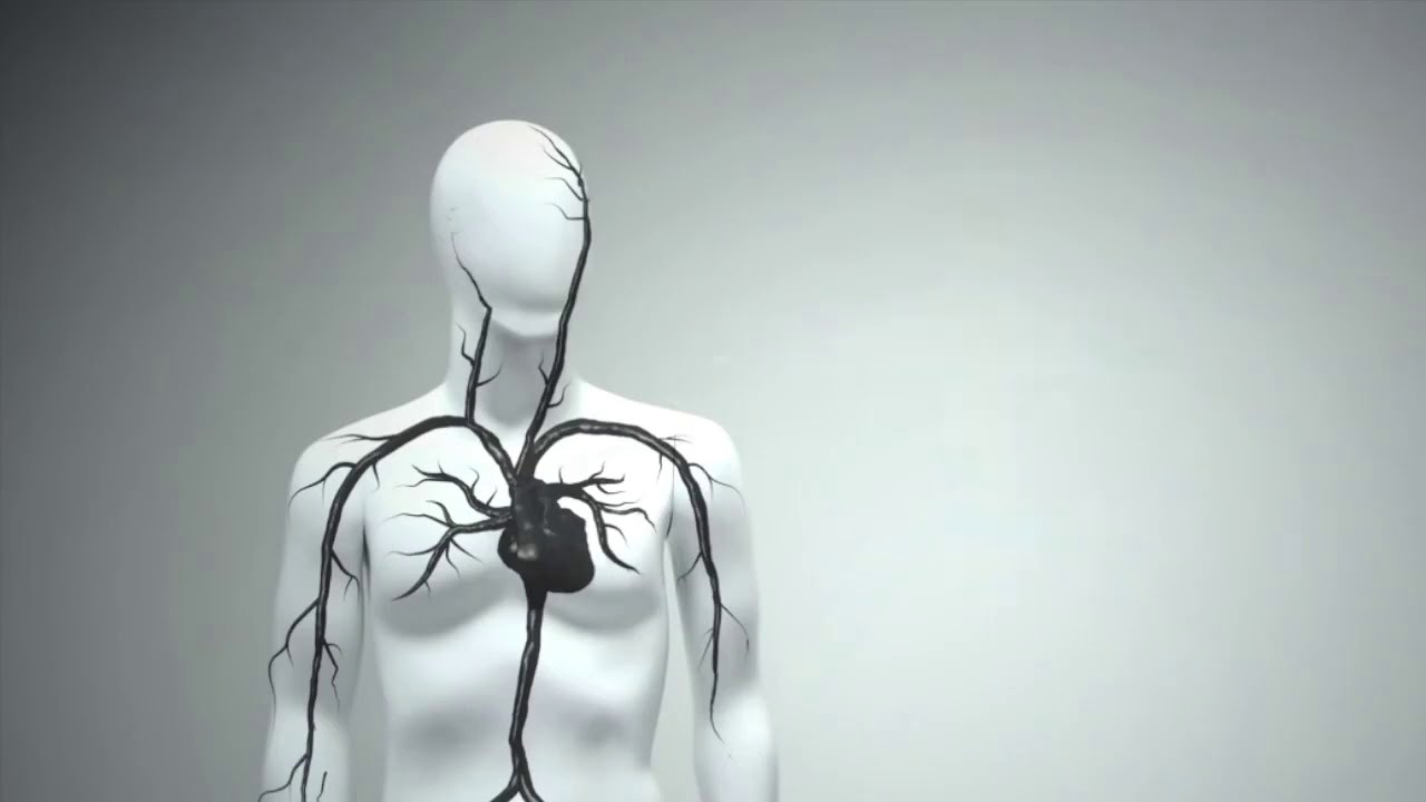 FEAR/////NEW Series/////OCTOBER4 - YouTube