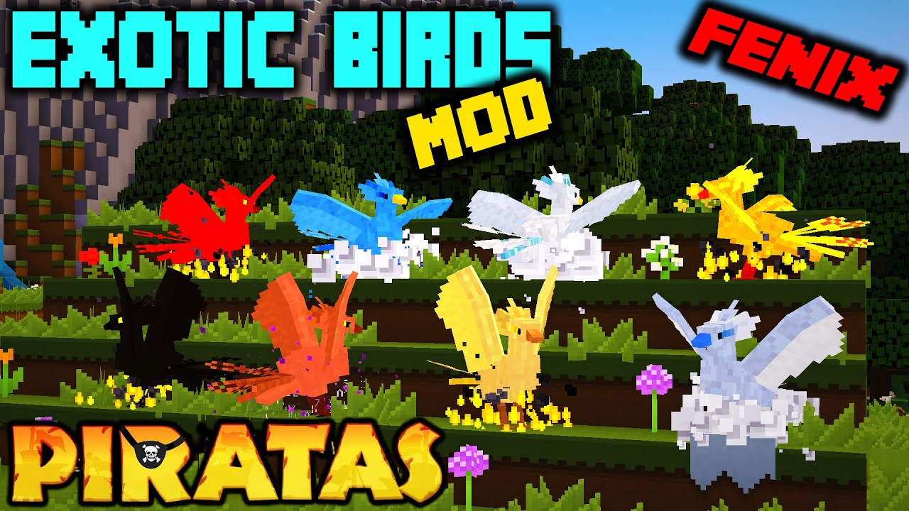 EXOTIC BIRDS Mod MINECRAFT (1.15.2 / 1.14.4 / 1.12.2) Review - Consigue ...