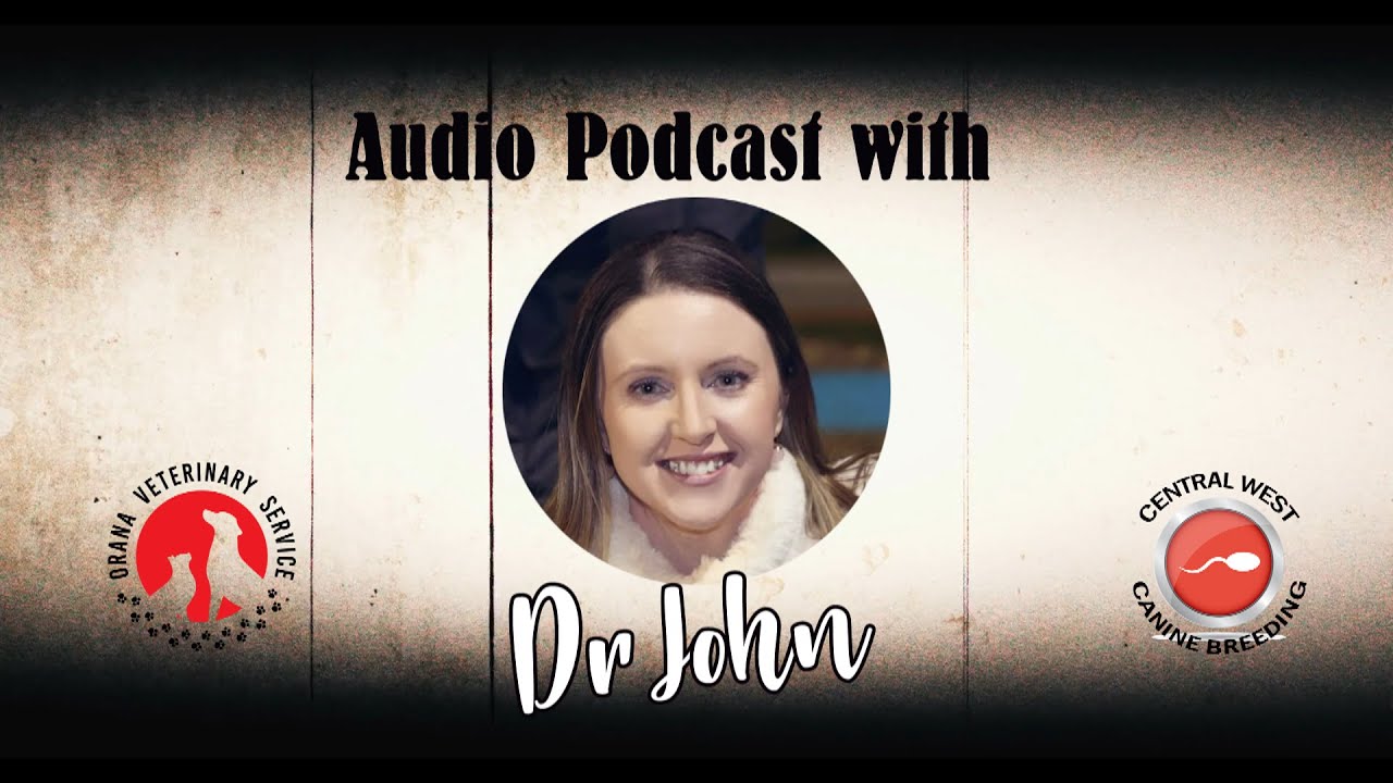 Dimity - The Greyhound Girl - Podcast with Dr John - YouTube