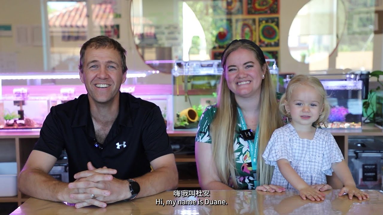 Why Teachers Choose to Work at DAIS/DHS? - YouTube