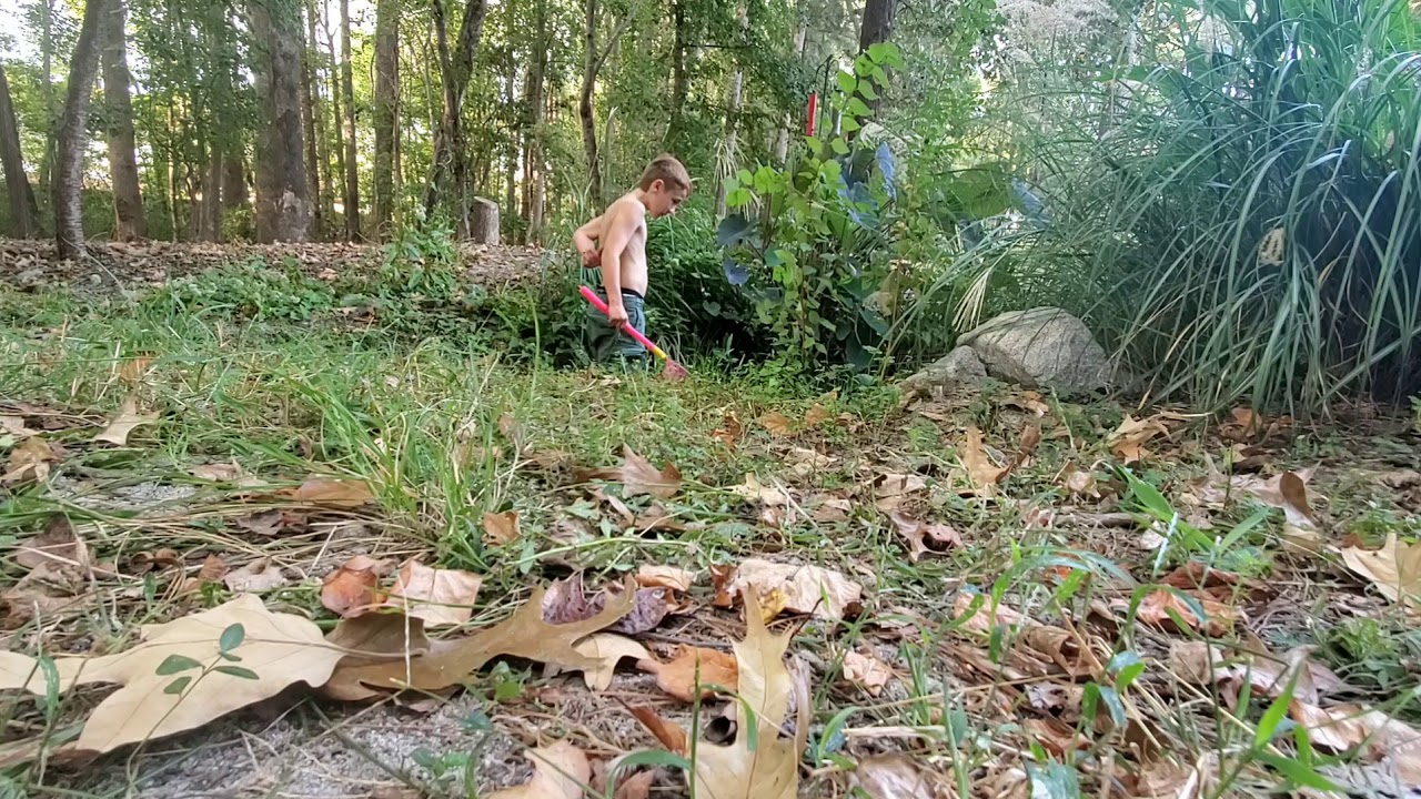 Can You Catch Frogs in a Backyard Drainage/Sewer - YouTube