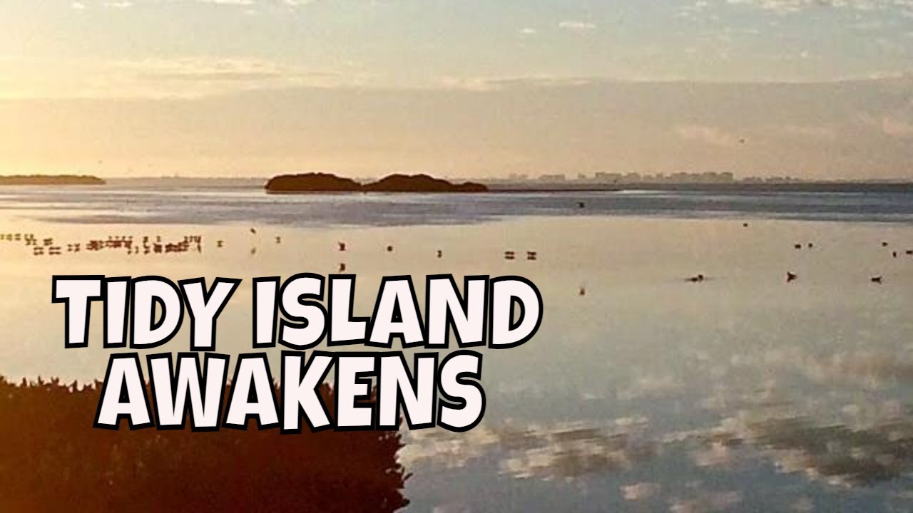 Exploring the Hidden Beauty of Tidy Island at Sunrise - YouTube