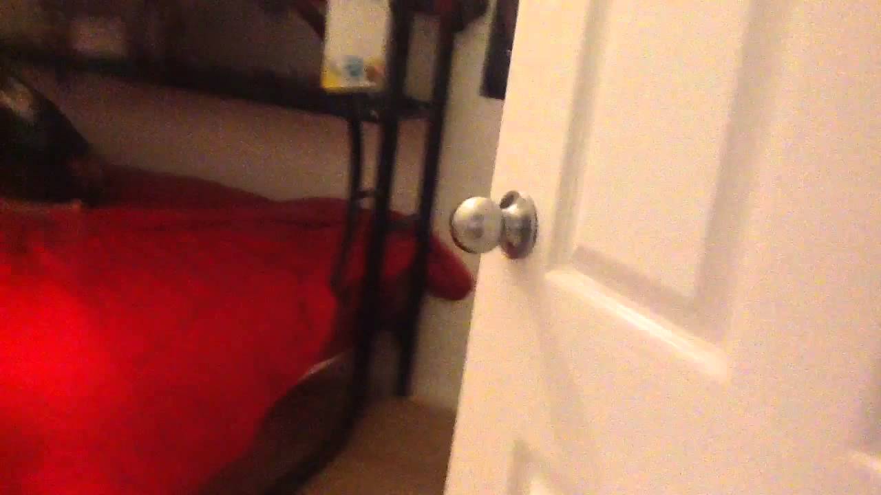 Caught Red Handed Youtube 2498