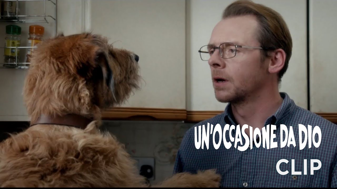 Un'occasione da Dio (Simon Pegg, Kate Beckinsale) - Scena in italiano ...