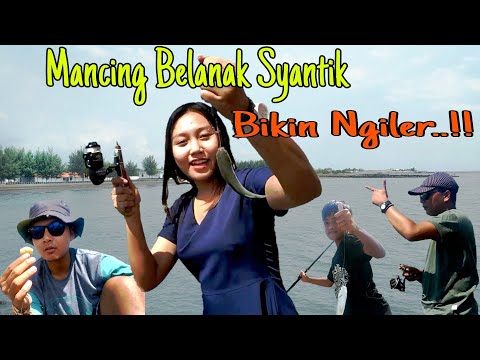 Mancing Cantik Ikan Belanak Di laut Dermaga |  Bikin Gagal Fokus....!!!