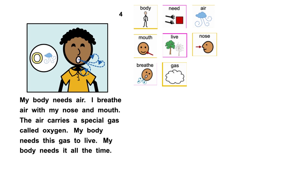 ULS Unit 4 My Amazing Body and Me - YouTube