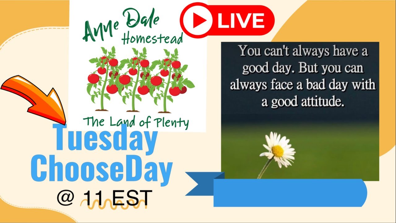 Tuesday ChooseDay + a tiny giveaway - YouTube