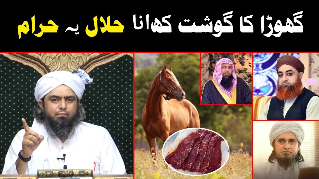Ghoda Ka Gosht Khana Halal Ya Haram | Point Of Views Of Scholars - YouTube