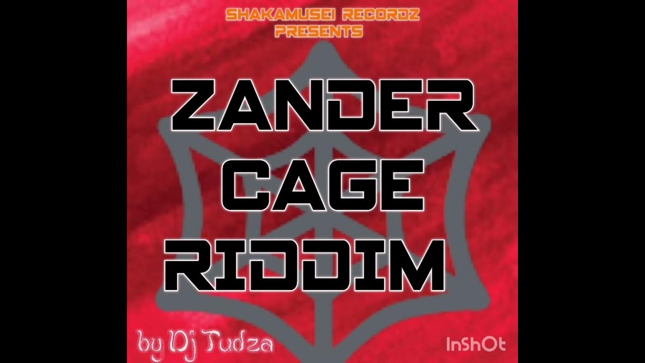 Zander_Cage_Riddim INSTRUMENTAL_ZIMDANCEHALL_RIDDIM- HARD_CORE_DROPS { BY DJ TUDZA}@SHAKAMUSEI ...
