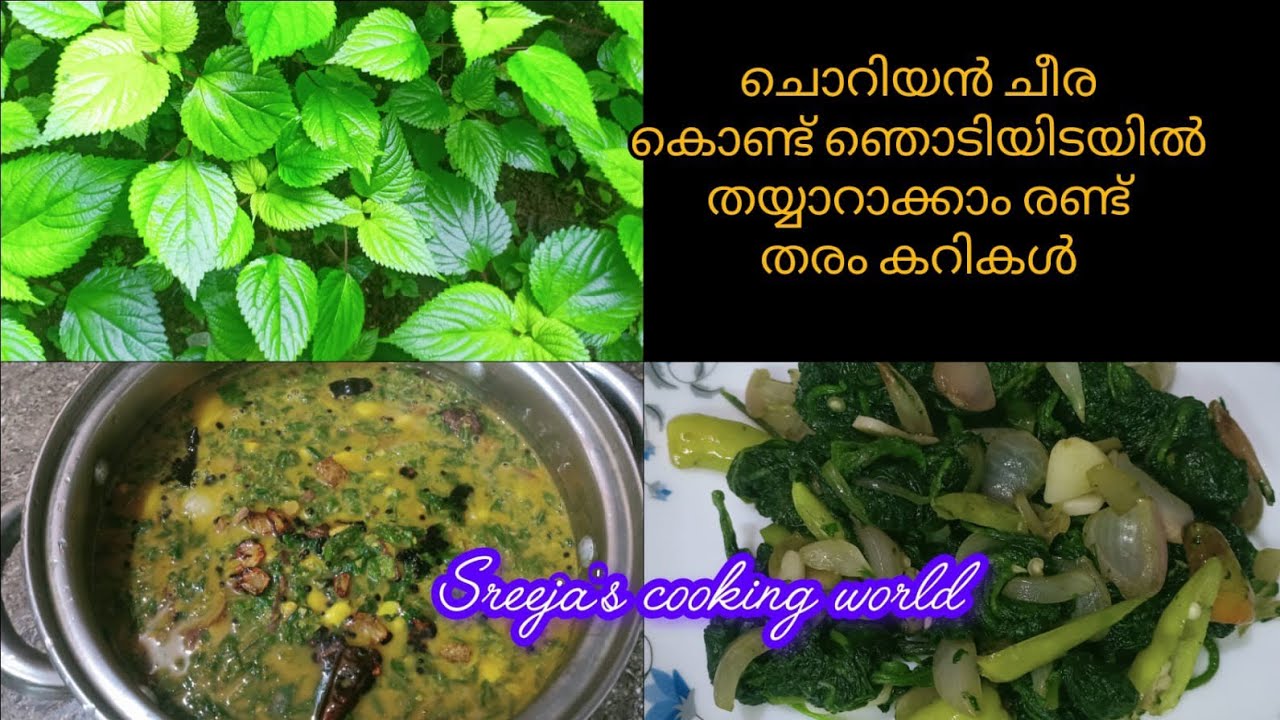 ചൊറിയൻ ചീര കൊണ്ട് കിടിലൻ ടേസ്റ്റിൽ രണ്ട് തരം വിഭവങ്ങൾ 😋@Sreeja's ...