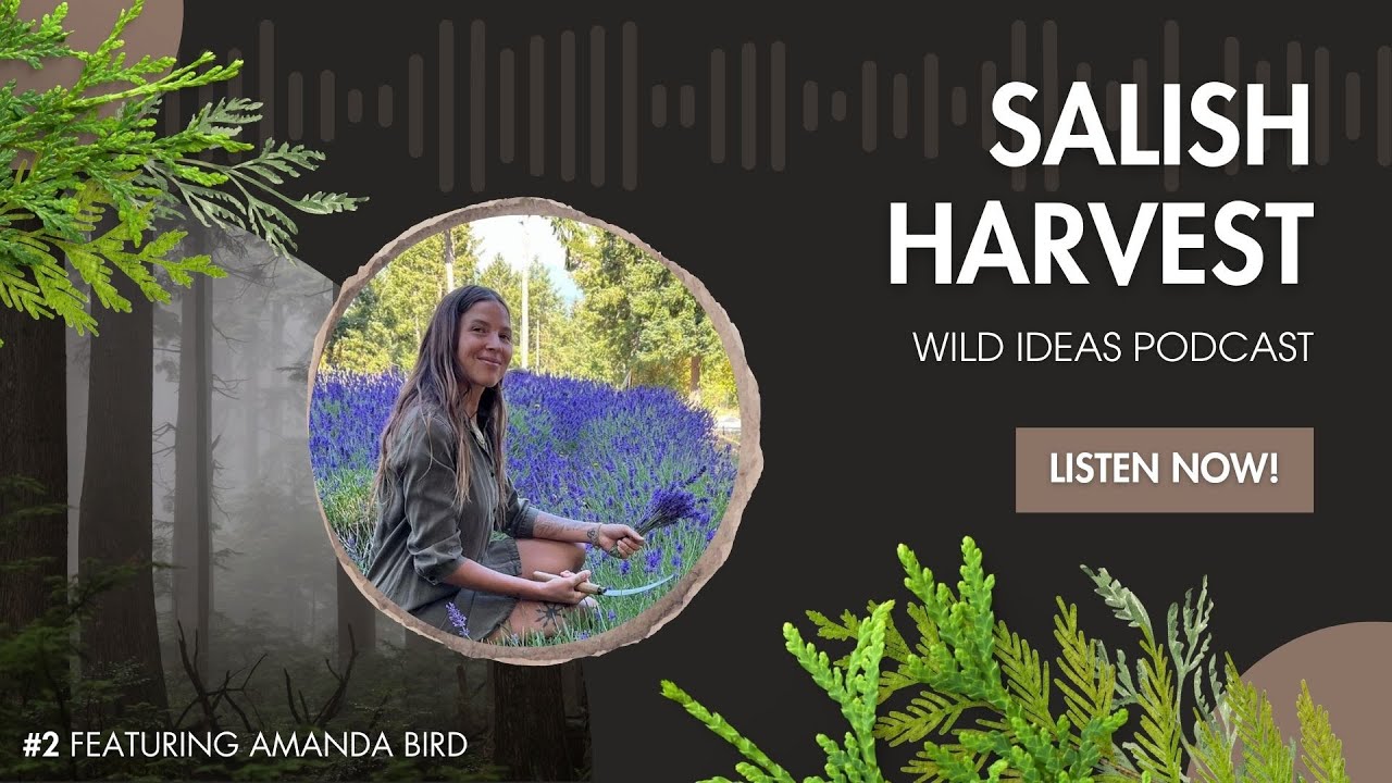 Salish Harvest Wild Idea's Podcast - Conversation With Amanda Bird ...