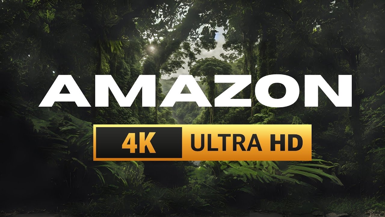Amazon 4K - The World’s Largest Tropical Rainforest | 4K ULTRA HD - YouTube