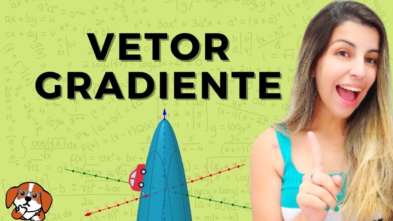 O que é o Vetor Gradiente? - Tudo o que você precisa saber + Exercícios ...