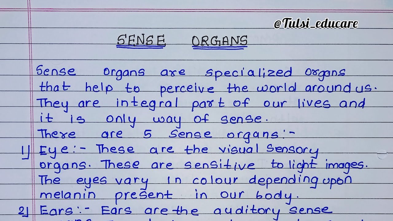 Proper Explanation of Sense Organs || Define of 5 Sense Organs ...