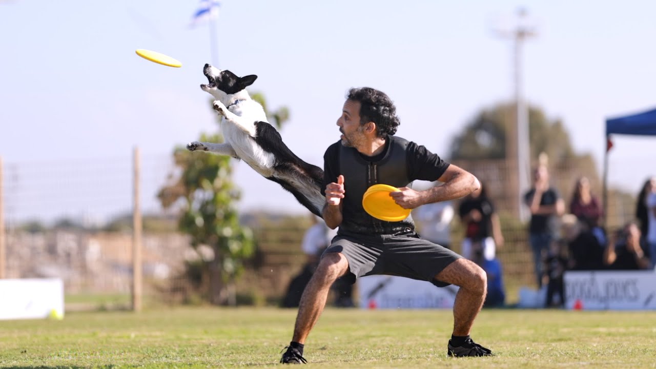 Dog Frisbee Cup - Israel 2021 - YouTube