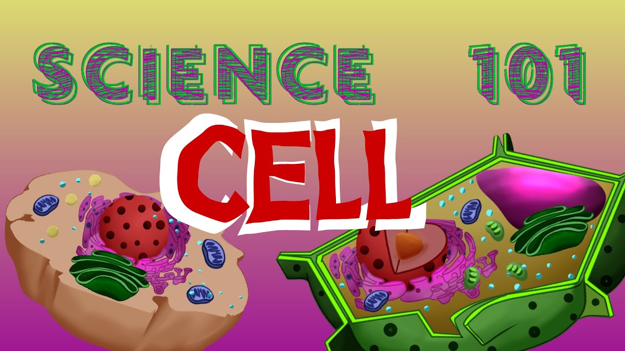 [Science 101] Cells | Cell Theory | Organelles and Function - YouTube