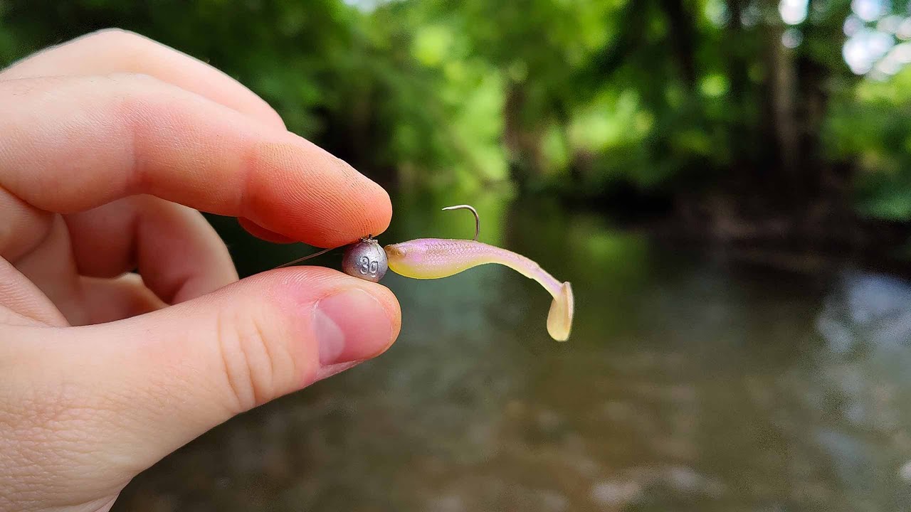 Catching WILD BROWN TROUT From A Tiny River (Fox Rage Micro Fry) - YouTube