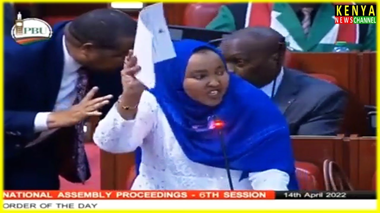 Fatuma Gedi presents evidence in Parliament showing Ruto is a Land ...