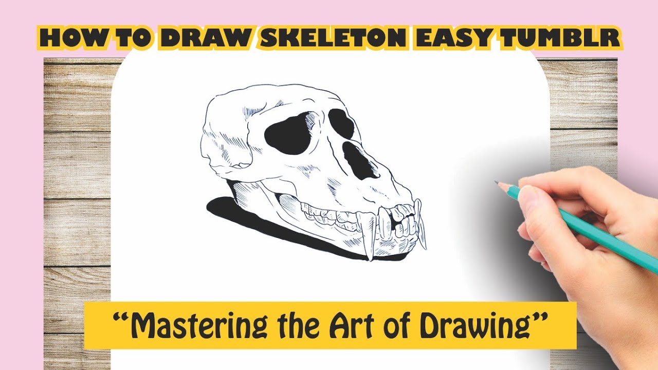 Easy Skull Drawings Tumblr Trying To Understand How Facial Structure