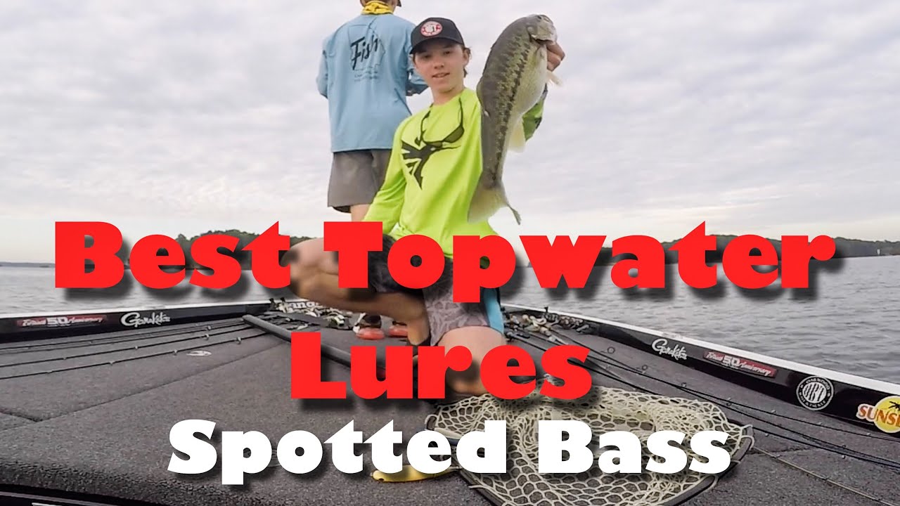 BEST Spotted Bass TOPWATER Baits + Fish Catches! - YouTube