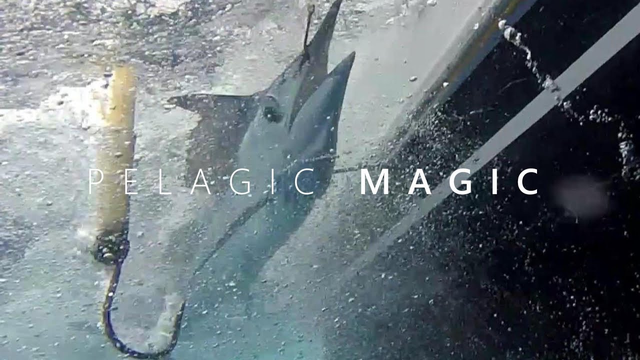 Pelagic Magic (Hawaii Fishing) - YouTube