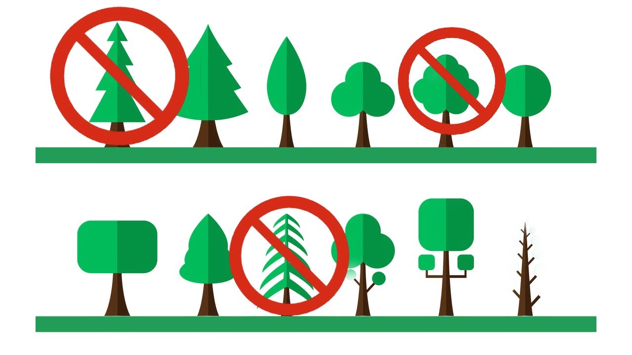 Science Deniers, Evolutionists, Creationists, Atheists: Morning Devotion - YouTube