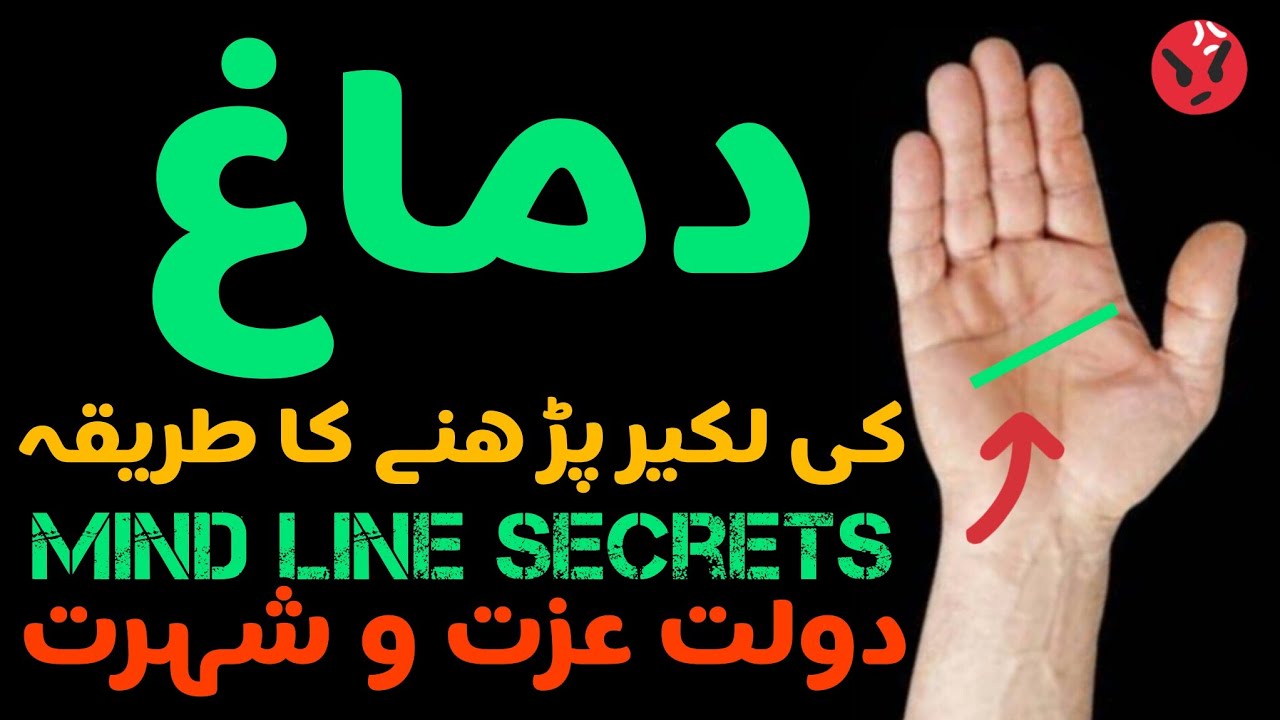 Palmistry Head Lines 🧠 | Mind Line in Hand | Brain Line Palmistry ...