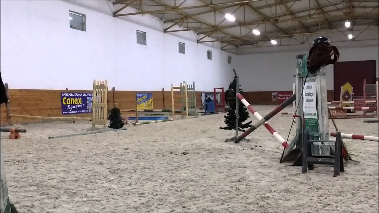 GoPro Horse training - YouTube