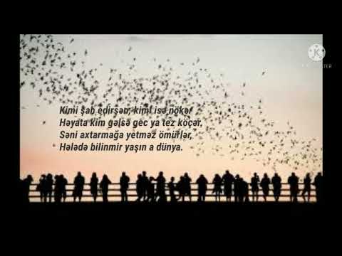 Dünya şeiri |Xəyalə Rəhimqızı|