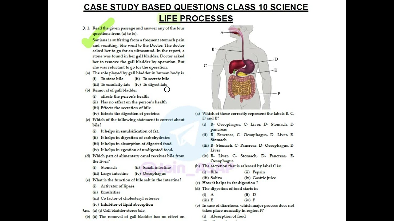 CASE STUDY BASED QUESTIONS CLASS 10 SCIENCE Life Processes Class 10 CASE STUDY BASED QUESTIONS CLASS 10 SCIENCE Life Processes Class 10