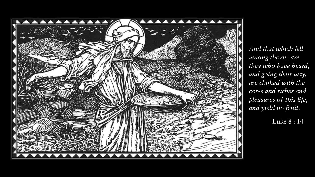 Holy Mass (Low) from Cleveland USA on 8 February 2026 (Sexagesima ...