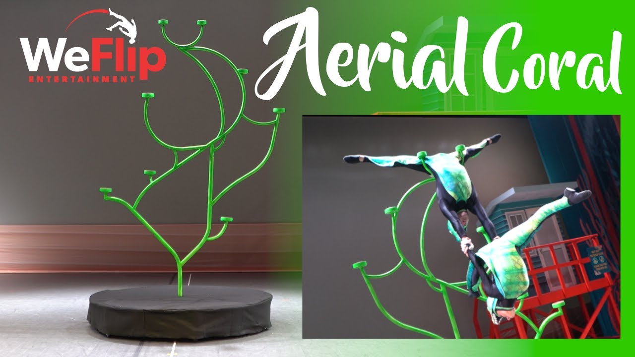 Aerial Coral! Eel themed circus act for SeaWorld's Surf Holiday - YouTube