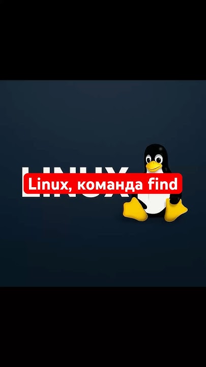 Linux, команда find #linux #unix #info #python #ос #computer #освіта #sec #net #info #nist #іт # ...