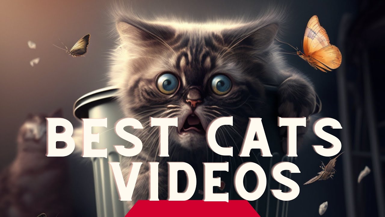 Best Cats Videos 2023, January/ Funny Animals pets Video! - YouTube