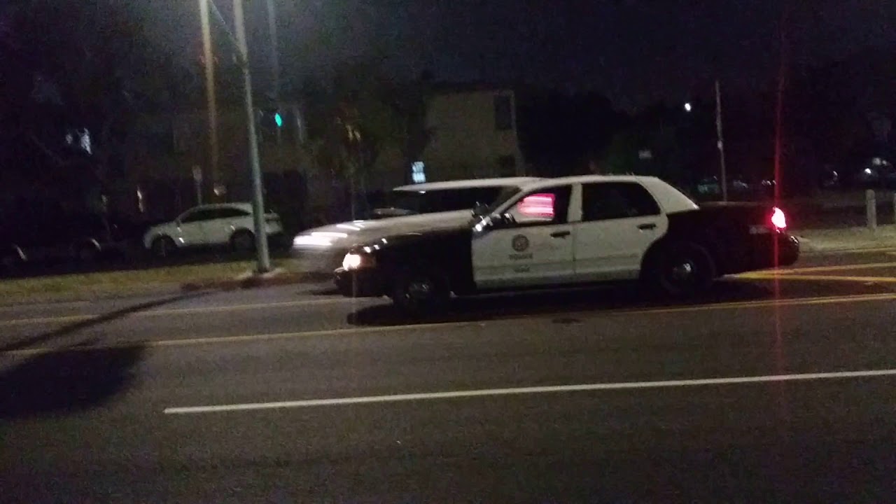 Gang unit gets checked by Mark bacon cop asks Mark bacon what's up ...