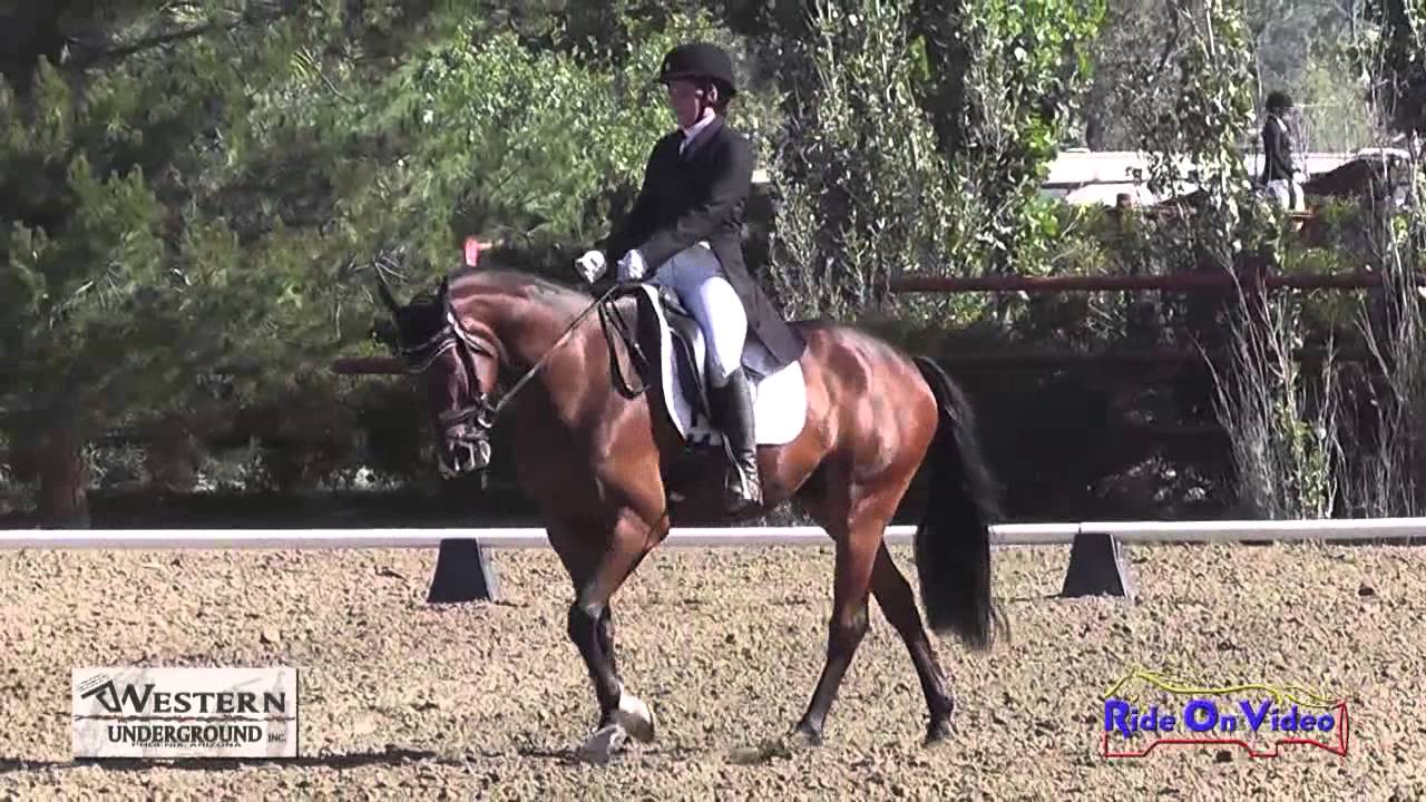 006D Cori Davis on A Golden Effort Western Underground CIC 2* Dressage ...