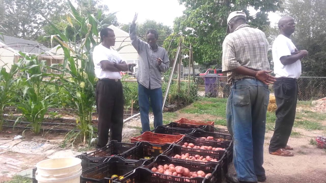 Somali Bantu Farming Council Denver - YouTube