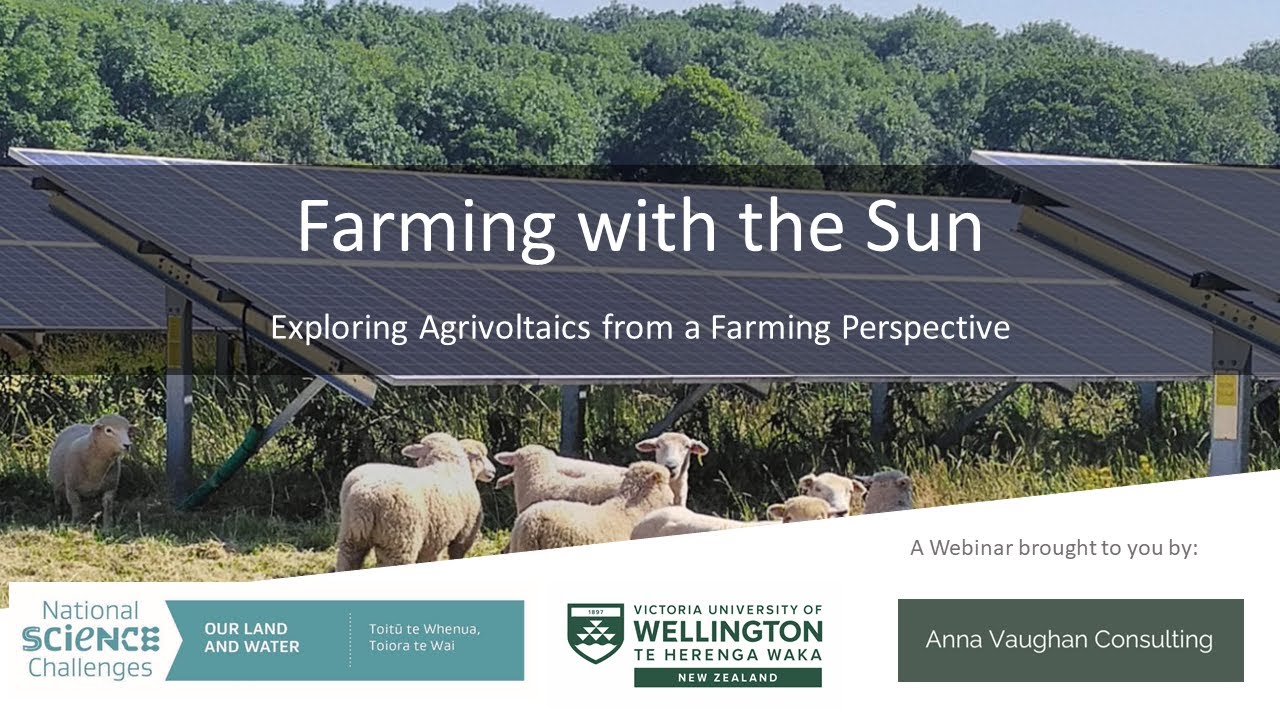 Farming with the sun - agrivoltaics from a farming perspective - YouTube