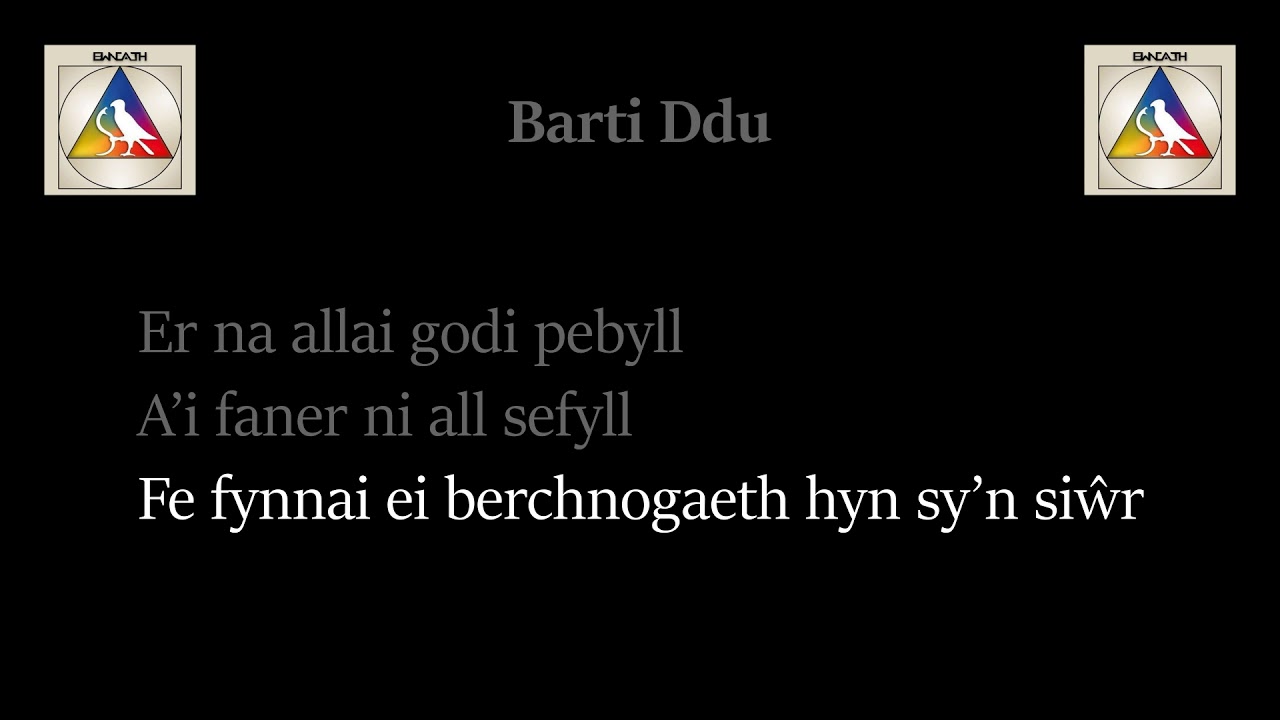 Barti Ddu – Bwncath - YouTube