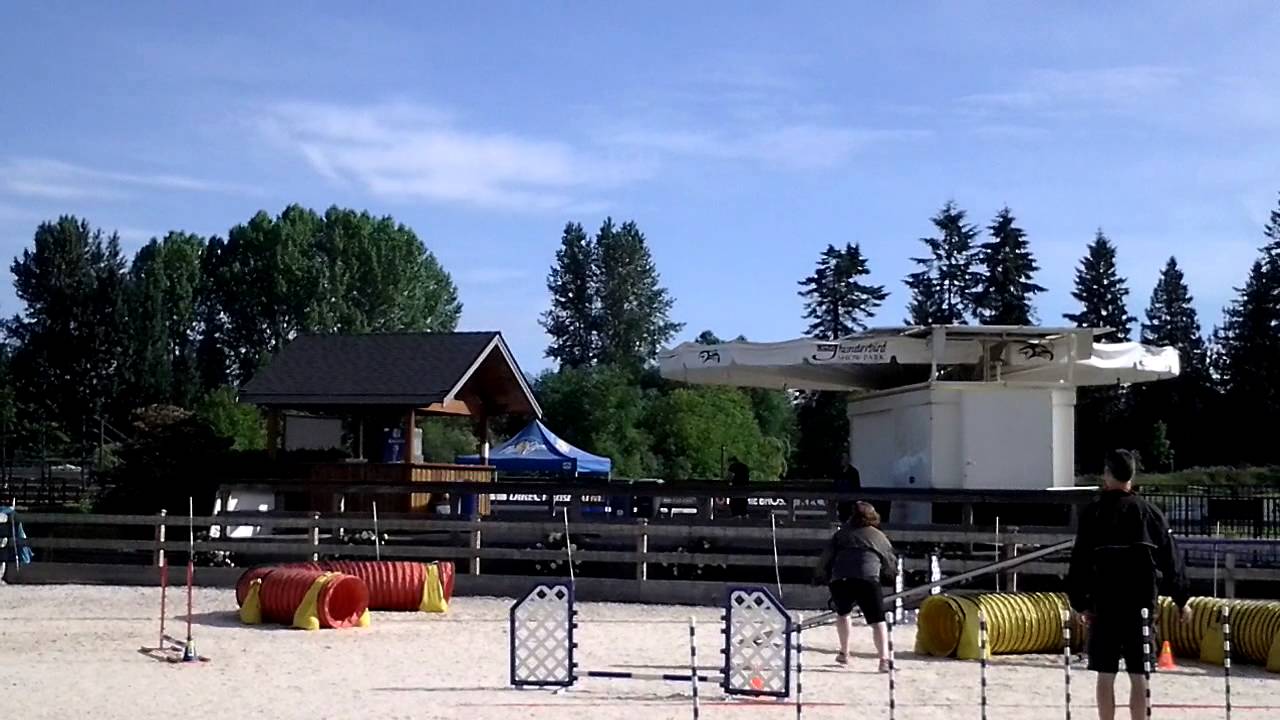 Morgan gamble - YouTube