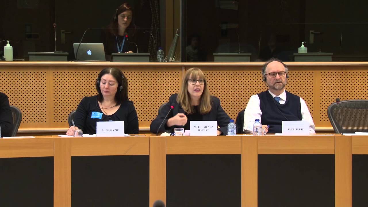 Presentation of Euromind - YouTube