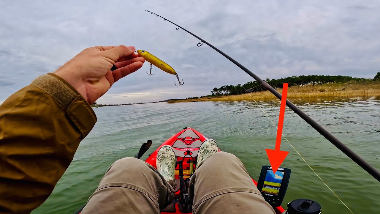 TOPWATER Fishing For A Marsh MONSTER in the Chesapeake Bay - YouTube