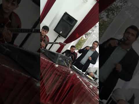 Lacınım mənim mahnısı saxvet lacılını