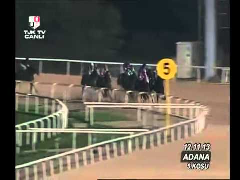 Adana Hipodromu (6. Yarış Günü) 5. Koşusu
