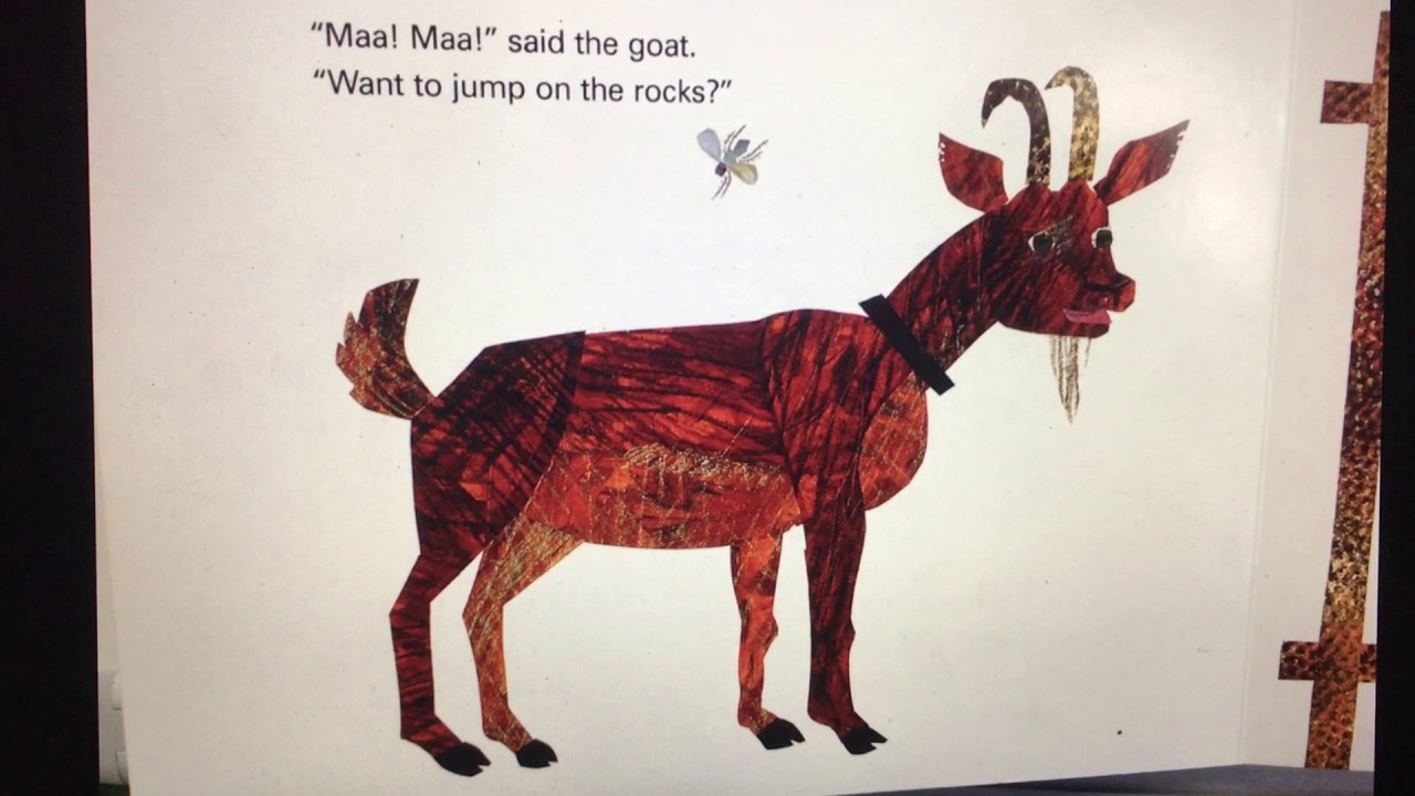 The Very Busy Spider by Eric Carle - YouTube