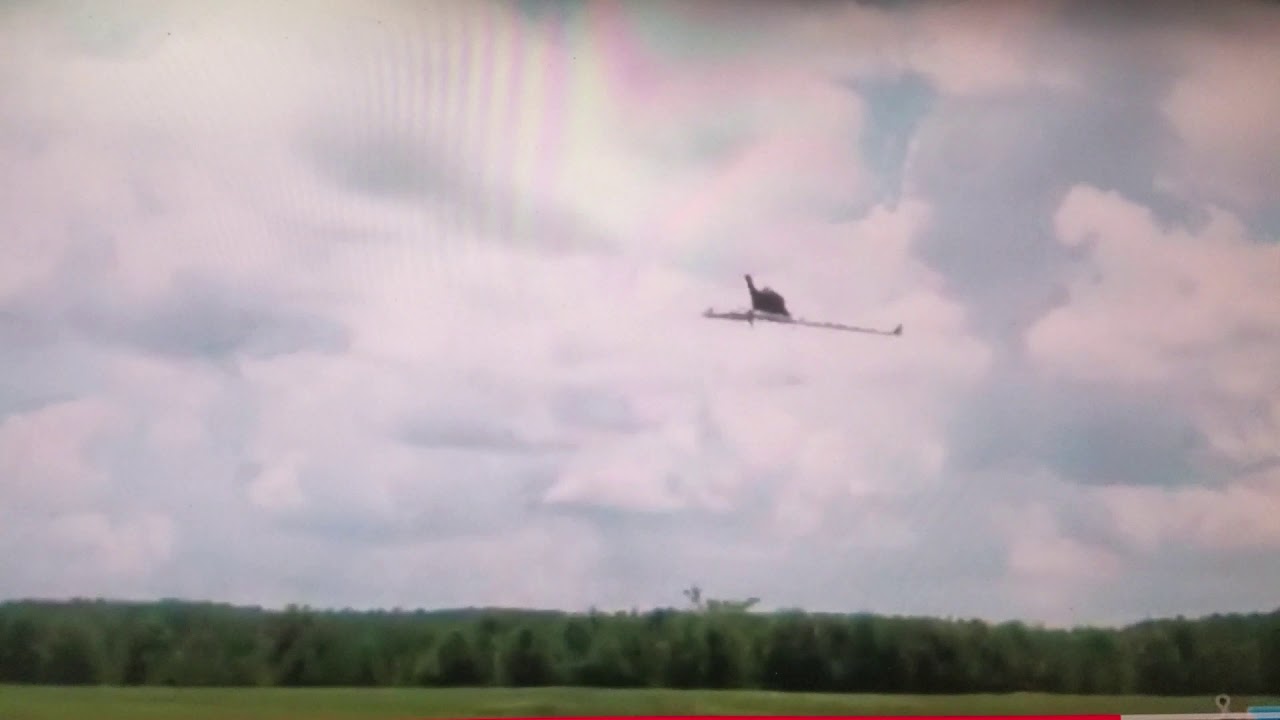 As God is my witness, I thought Turkeys could fly! - YouTube