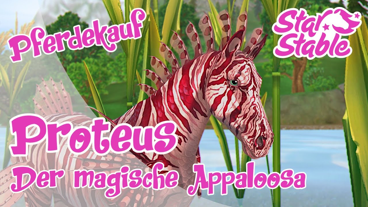 Star Stable [SSO] Pferdekauf - das magische Fischpferd Proteus - YouTube