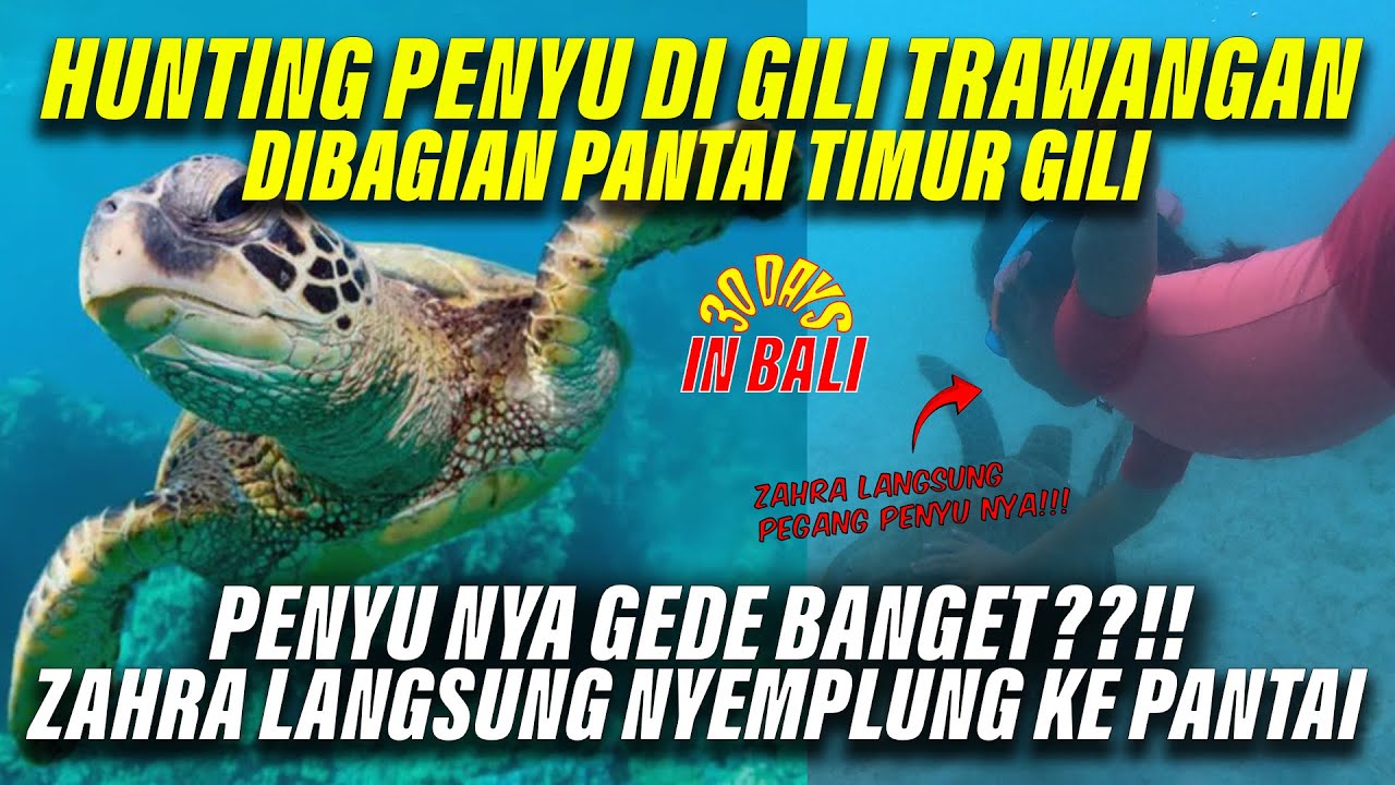 30 Days in Bali | Family Travel Day 16 - ZAHRA HUNTING PENYU DI PANTAI ...